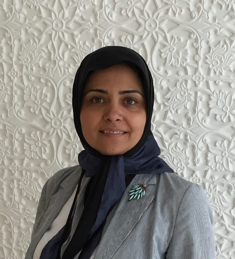 Soheila Esfahani » Artist Statement